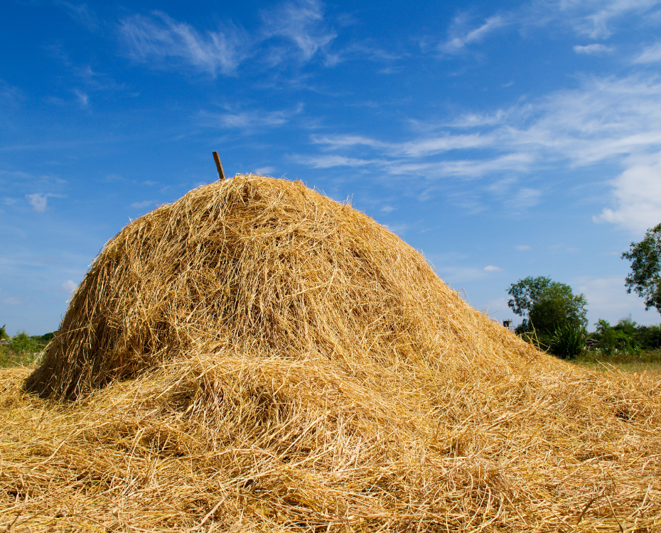 Stro als biobased bouwmateriaal